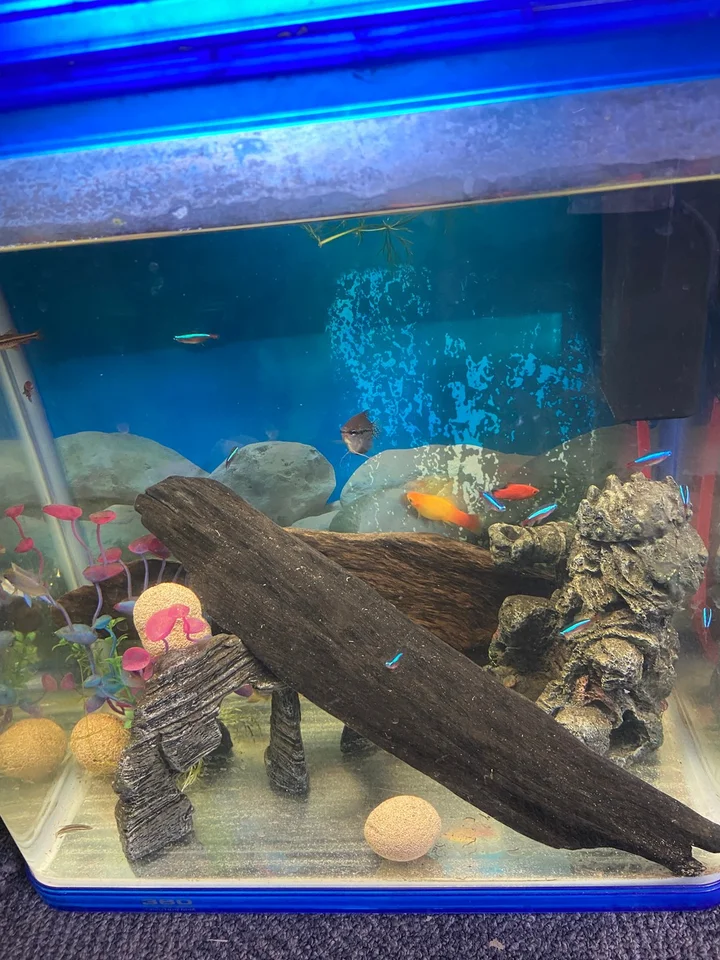 Micro Aquatic Shop reviews | ProductReview.com.au