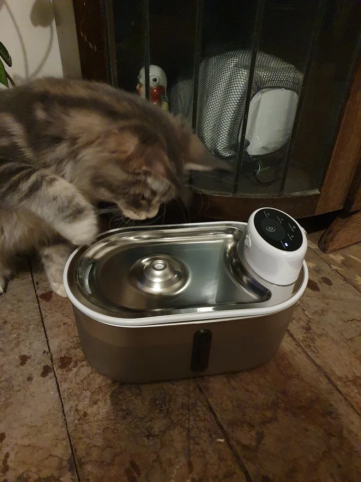 Purr-Pod Purr-Flow Water Fountain reviews | ProductReview.com.au