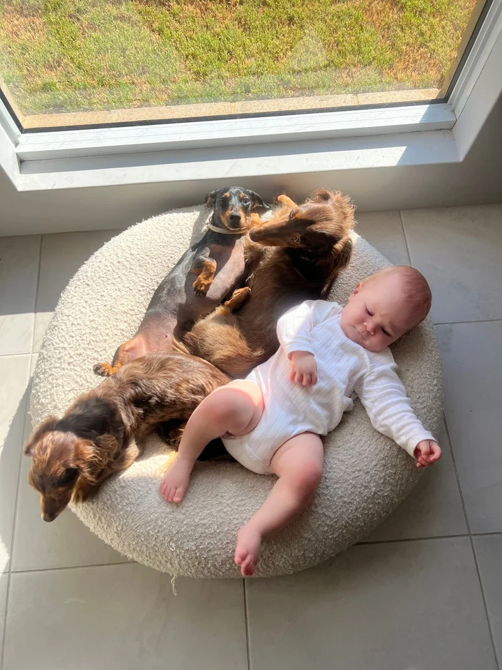 Sash Beds reviews | ProductReview.com.au