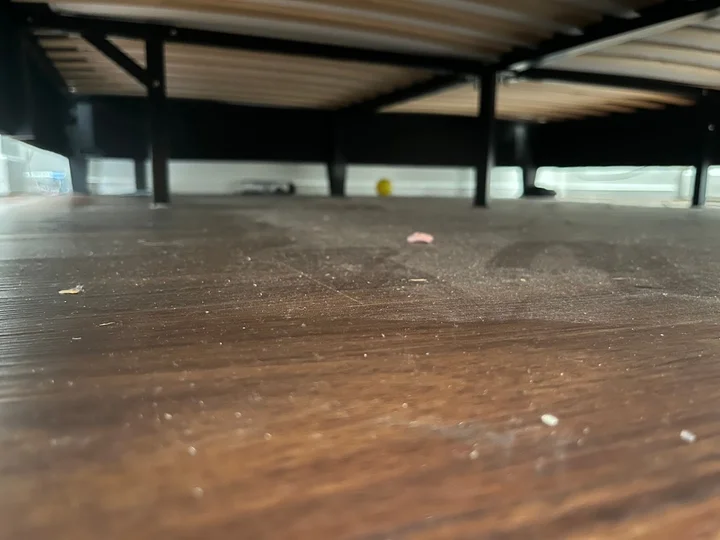 Absolute Domestics QLD, Brisbane reviews | ProductReview.com.au