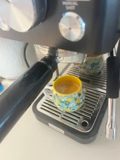 Sunbeam Origins Slimline Espresso EMM4500BK reviews | ProductReview.com.au