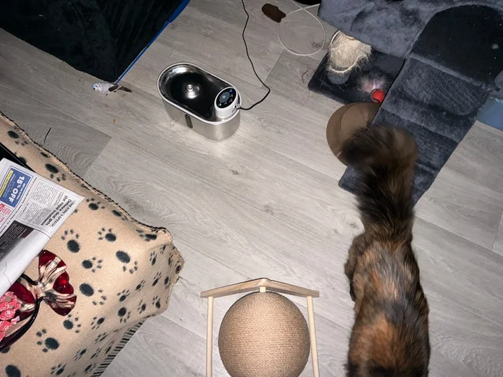 Purr-Pod Purr-Flow Water Fountain reviews | ProductReview.com.au