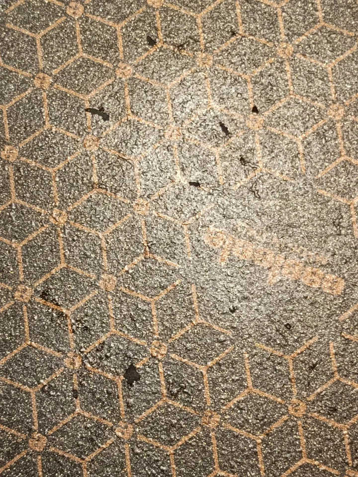 Essteele Australis reviews | ProductReview.com.au