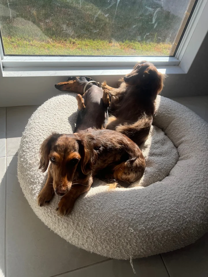 Sash Beds reviews | ProductReview.com.au