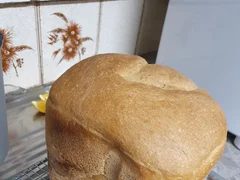 Panasonic SD-2501 reviews | ProductReview.com.au