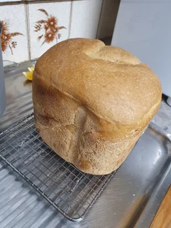 Panasonic SD-2501 reviews | ProductReview.com.au