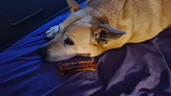 Marrowz Beef Chews reviews | ProductReview.com.au