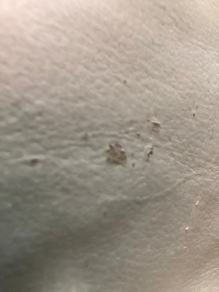 Garstone Design reviews | ProductReview.com.au