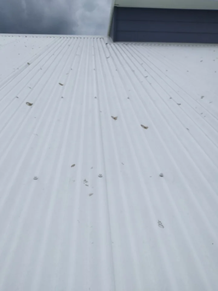 Bio-Shield 5L Outdoor Cleaner Concentrate reviews | ProductReview.com.au