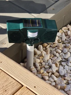 Best Pestrol Pest Control Products in 2026 as reviewed by Australian ...