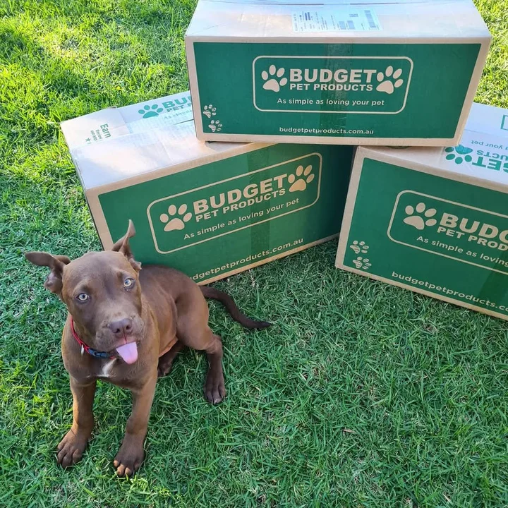 Budget Pet Products reviews | ProductReview.com.au