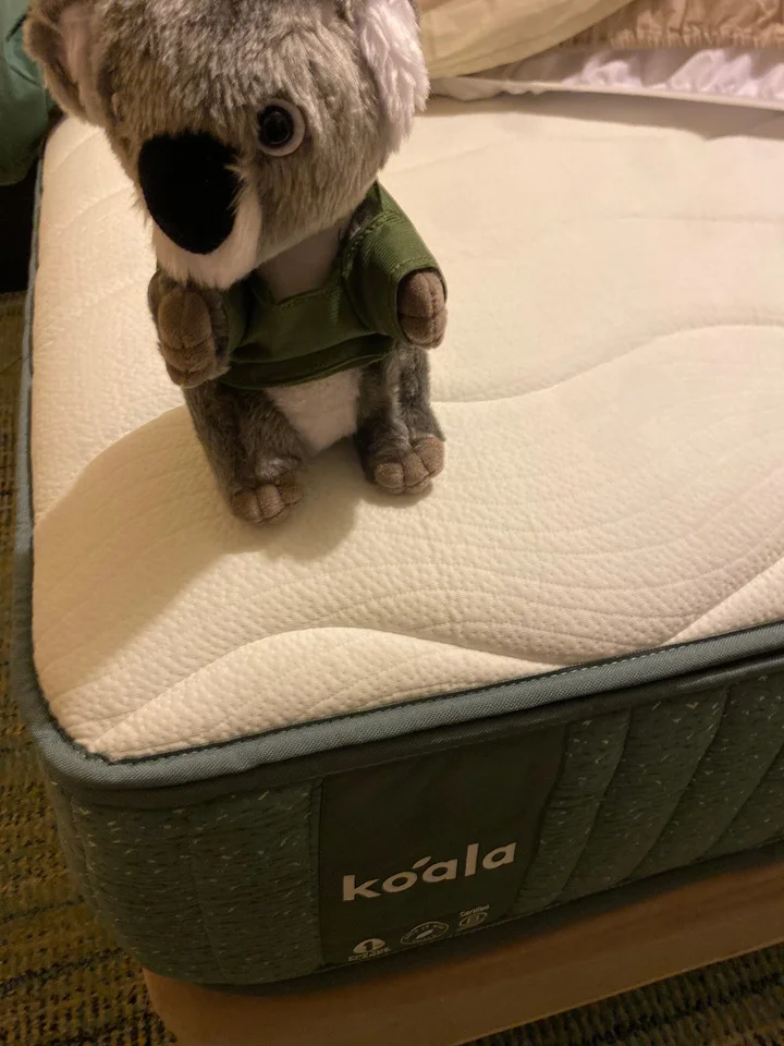 Koala Plus Mattress reviews | ProductReview.com.au