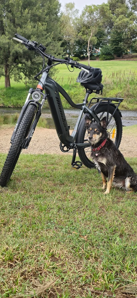 Pedl reviews | ProductReview.com.au