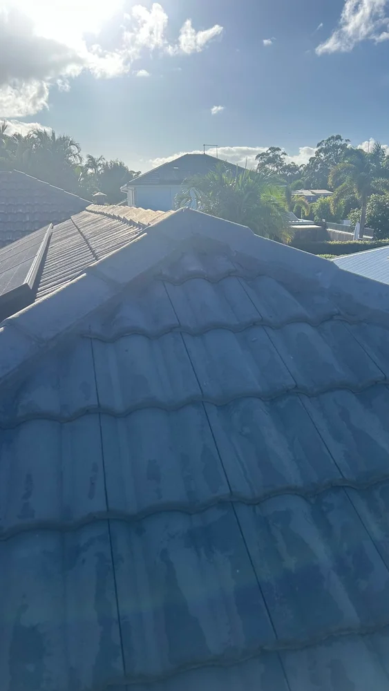 Impact Roof Services reviews | ProductReview.com.au