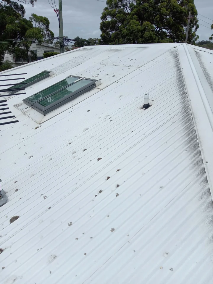 Bio-Shield 5L Outdoor Cleaner Concentrate reviews | ProductReview.com.au