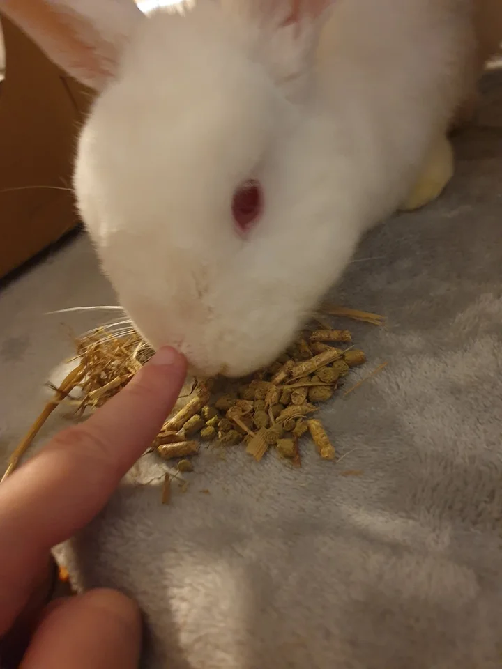 The Vet Shed reviews | ProductReview.com.au