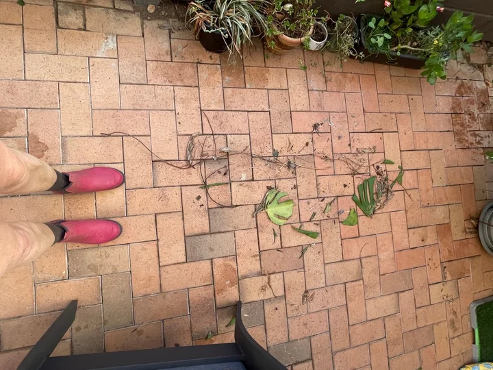 Ozito PXC 2 x 18V Blower Vacuum PXCBLVS-018 reviews | ProductReview.com.au