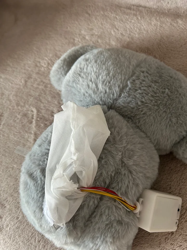 Evora The Relief Koala reviews | ProductReview.com.au