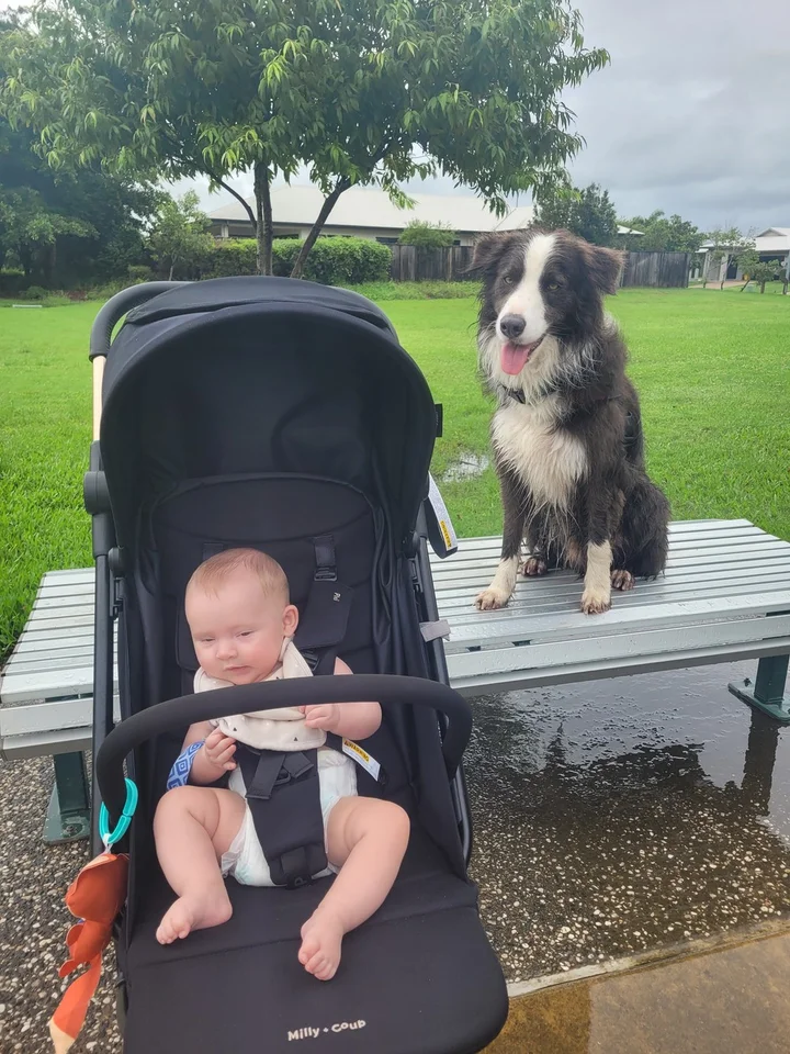 Milly + Coup Pixi Travel Stroller reviews | ProductReview.com.au