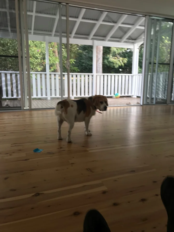 BetaView Aluminium Windows & Doors Pty Ltd reviews | ProductReview.com.au