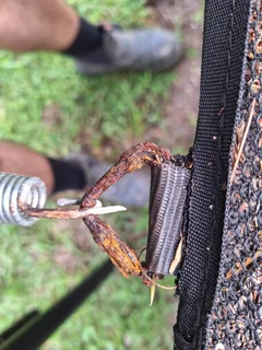 Little Nation 12ft Trampoline reviews | ProductReview.com.au