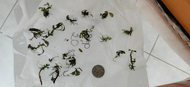 Micro Aquatic Shop reviews | ProductReview.com.au