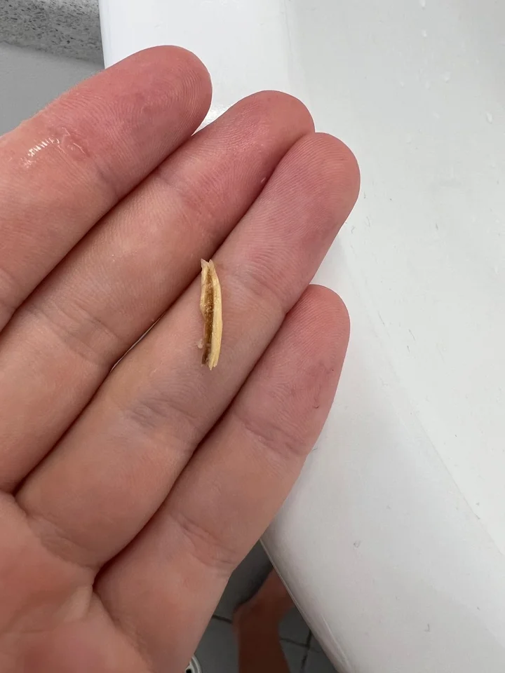 ALDI Sprinters Original Crinkle Cut Potato Chips reviews ...