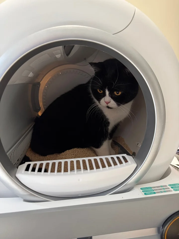 Purr-Pod Smart Litter Box reviews | ProductReview.com.au