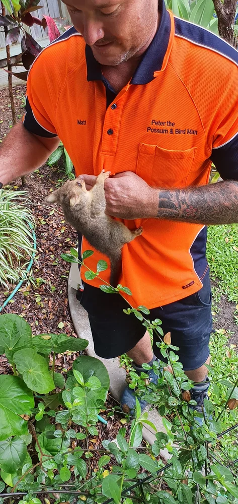 Peter the Possum & Bird Man reviews | ProductReview.com.au