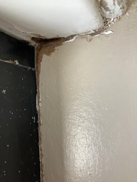 Dowell Windows reviews | ProductReview.com.au