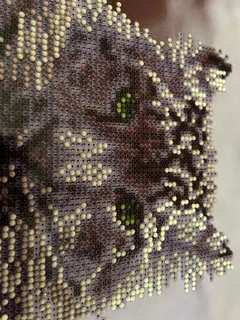 Spotlight reviews | ProductReview.com.au