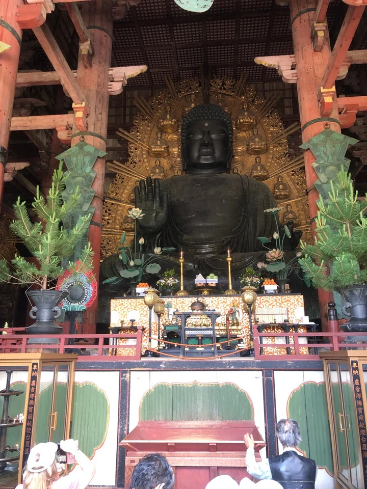 InsureandGo Australia International Travel Insurance - Gold reviews ...