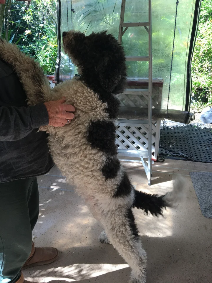 The Vet Shed reviews | ProductReview.com.au