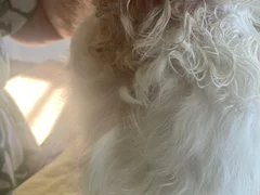 Hanrob reviews | ProductReview.com.au