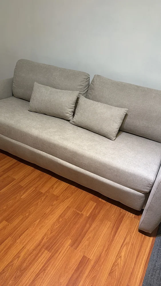 Ecosa Repose Sofa Bed reviews | ProductReview.com.au