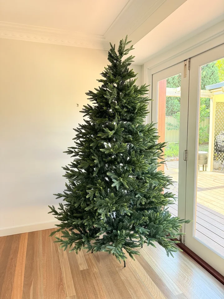 Amazing Christmas reviews | ProductReview.com.au