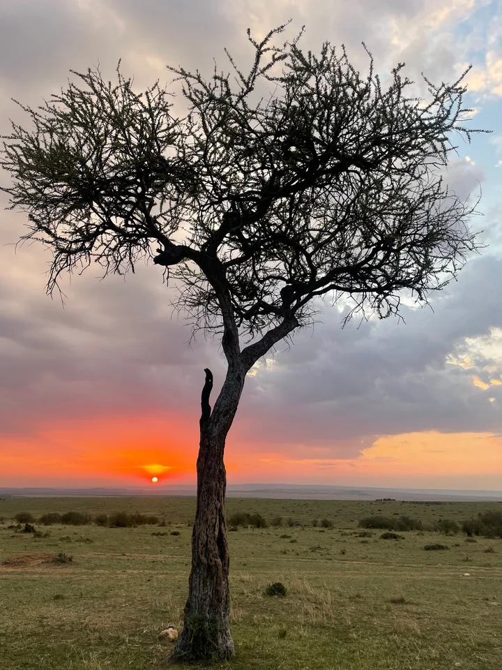 Intrepid Travel reviews | ProductReview.com.au