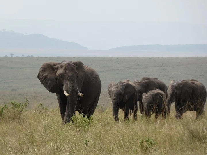 Intrepid Travel reviews | ProductReview.com.au