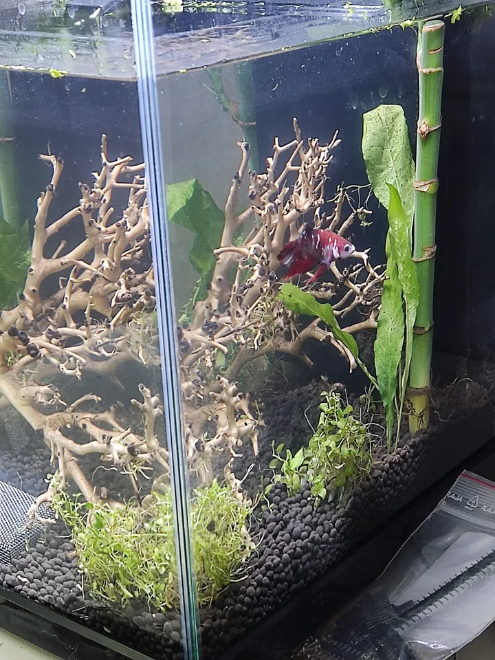 Micro Aquatic Shop reviews | ProductReview.com.au