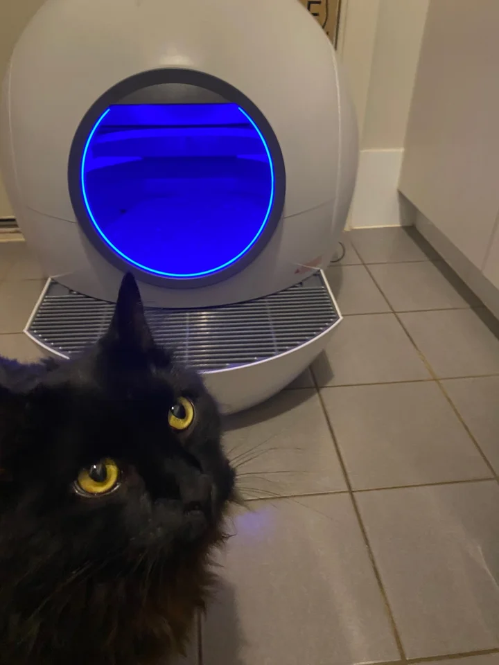 Purr-Pod Smart Litter Box reviews | ProductReview.com.au