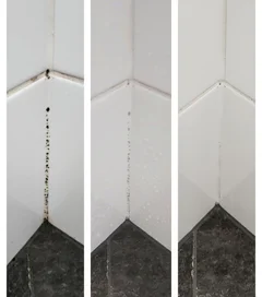 Glassguard Miracle Mould Removal Gel reviews | ProductReview.com.au