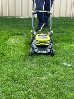 Ryobi OLM1840BL reviews | ProductReview.com.au