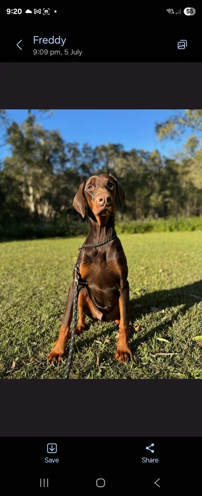 Hanrob Brisbane reviews | ProductReview.com.au