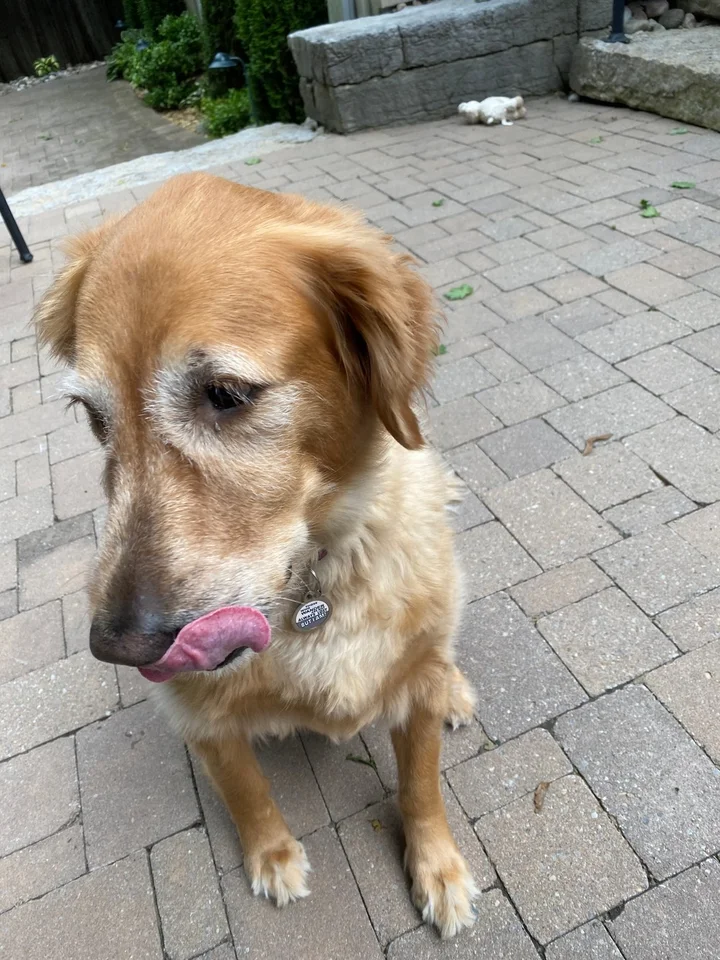 The Vet Shed reviews | ProductReview.com.au