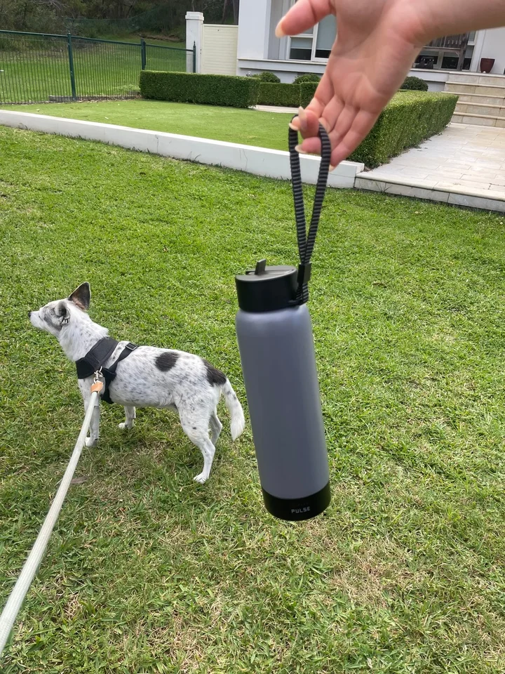 Pulse Charge reviews | ProductReview.com.au