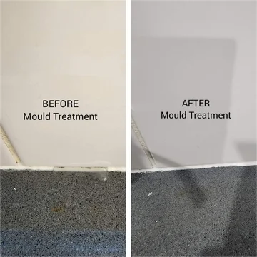 Glassguard Miracle Mould Removal Gel reviews | ProductReview.com.au