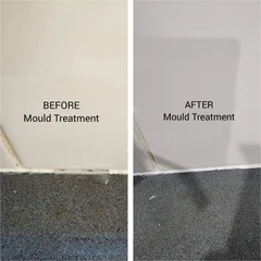 Glassguard Miracle Mould Removal Gel reviews | ProductReview.com.au
