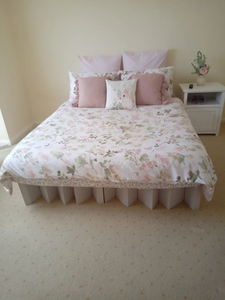 Yona Cardboard Bed reviews | ProductReview.com.au