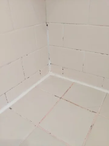 Glassguard Miracle Mould Removal Gel reviews | ProductReview.com.au