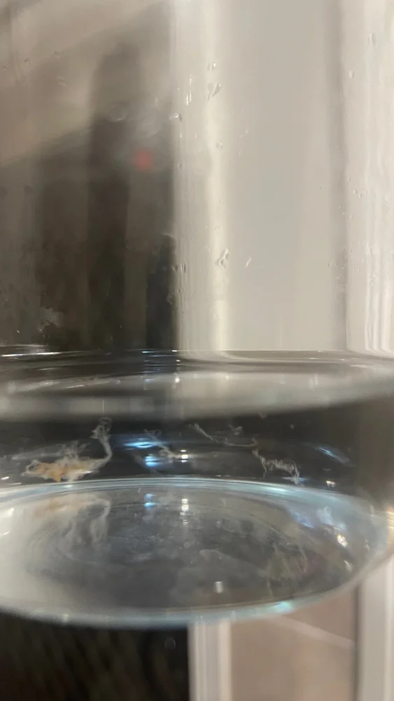 Mt Ossa Australian Natural Spring Water 10L reviews | ProductReview.com.au